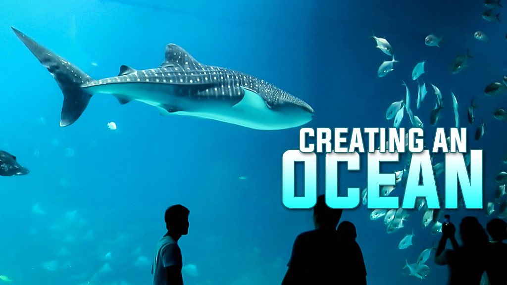 Creating An Ocean Full Movie Online - Watch HD Movies on Airtel Xstream