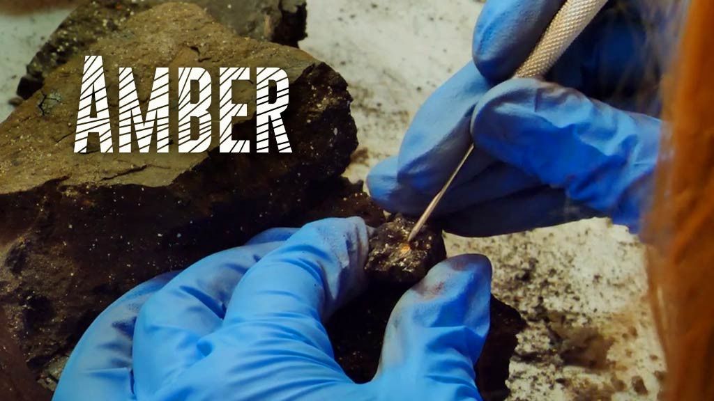 Watch Amber Movie Online - Stream Full HD Movies on Airtel Xstream