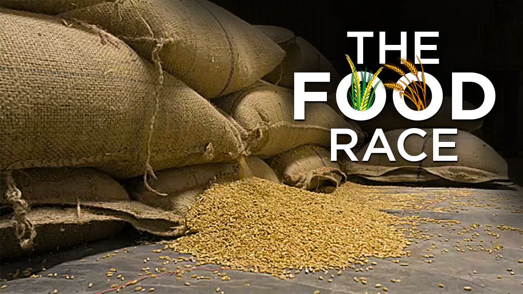 Watch The Food Race - Pesticides, GMOs and Organic Farming on the test ...