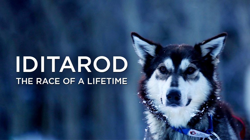 Iditarod: The Race Of A Lifetime Full Movie Online - Watch HD Movies on ...