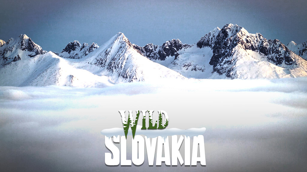 Wild Slovakia Full Movie Online - Watch HD Movies on Airtel Xstream Play