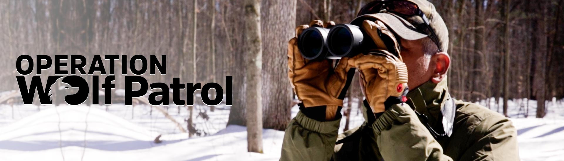 Operation Wolf Patrol Full Movie Online - Watch HD Movies on Airtel ...