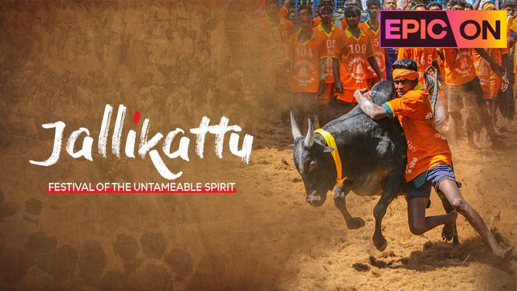 Jallikattu-Festival Of The Untameable Spirit Full Movie Online - Watch ...