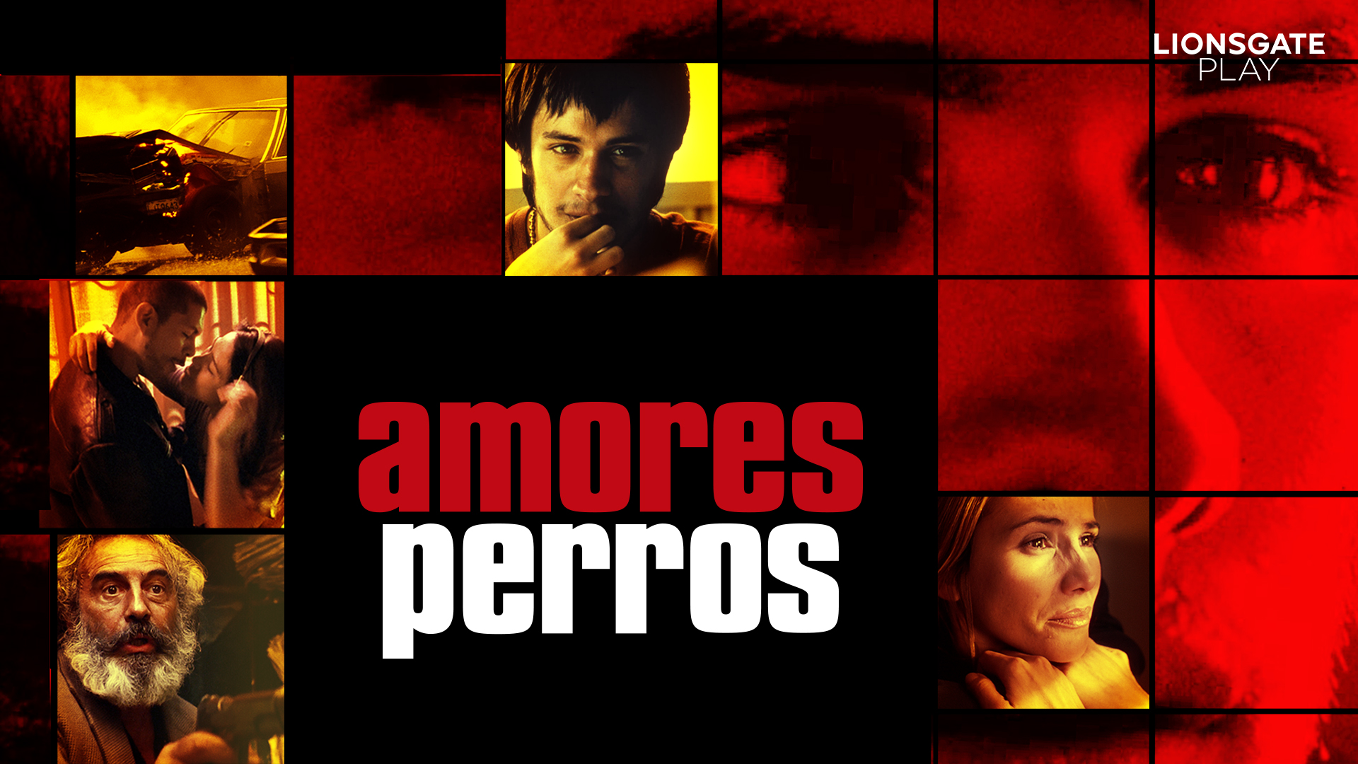 Watch Amores Perros Movie Online - Stream Full HD Movies on Airtel Xstream