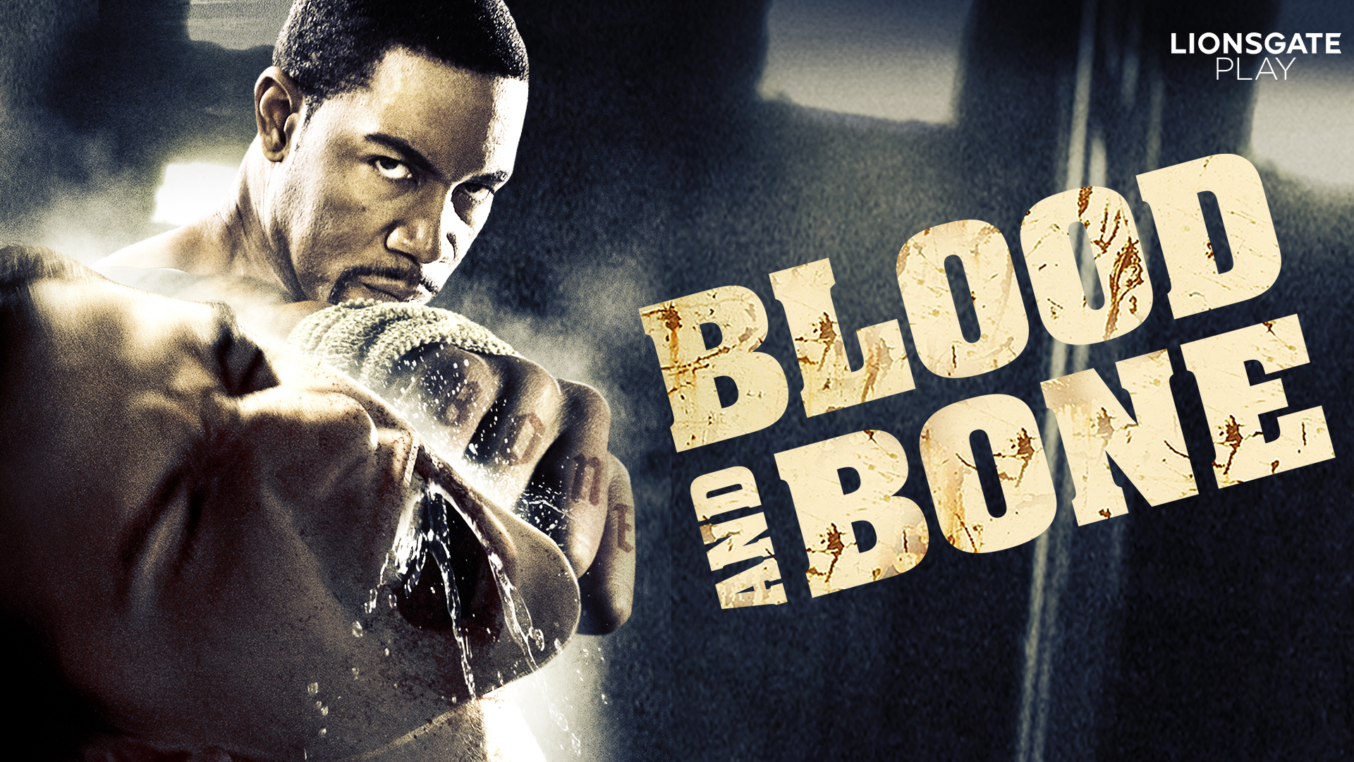 Blood and Bone Full Movie Online - Watch HD Movies on Airtel Xstream Play