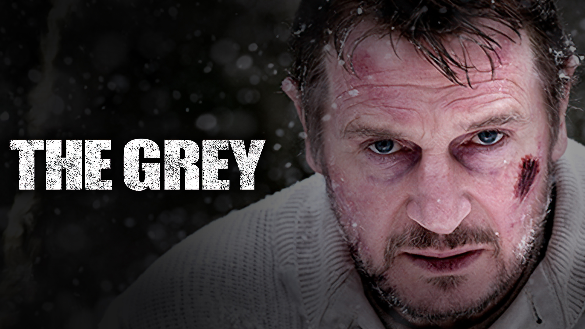 The Grey Full Movie Online - Watch HD Movies on Airtel Xstream