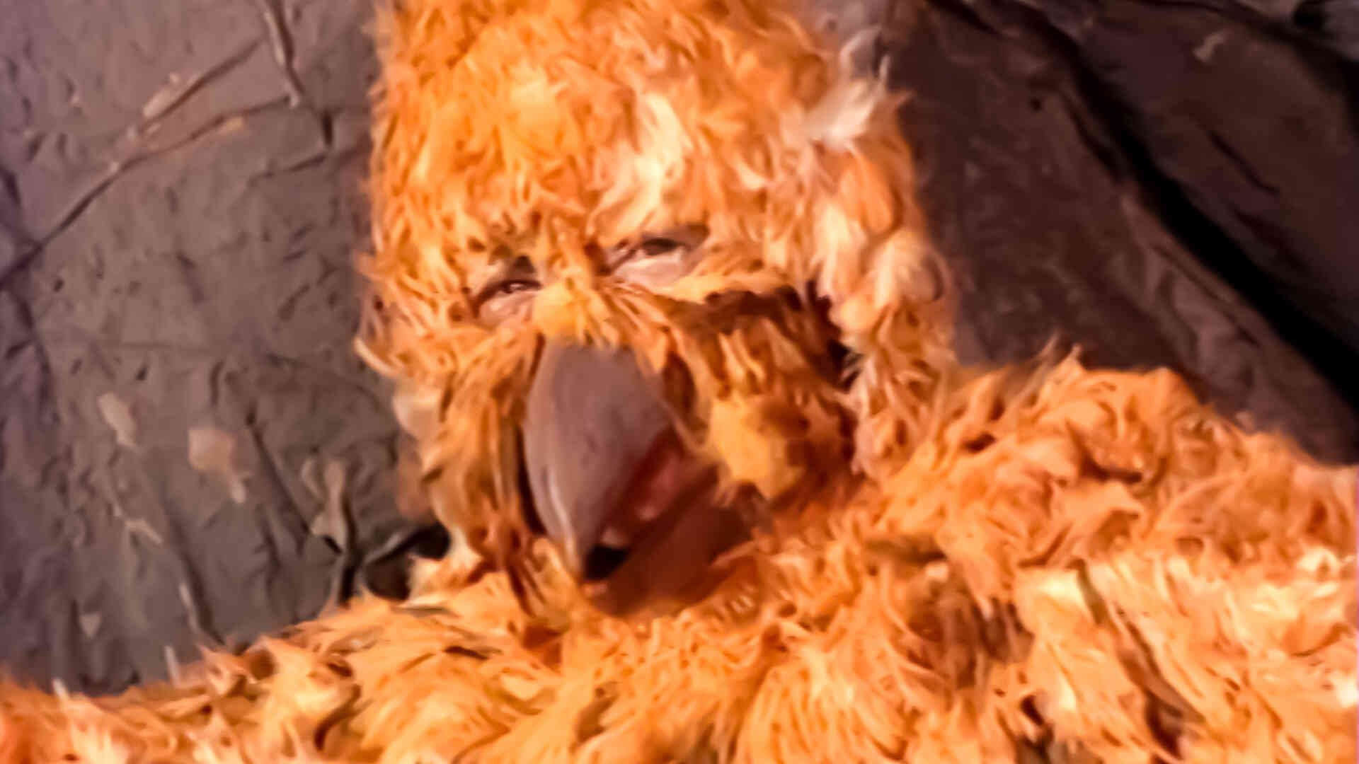 Ramayan Season 1 Episode 67 Ramayan - Ep 67 - Sampati Learns About ...