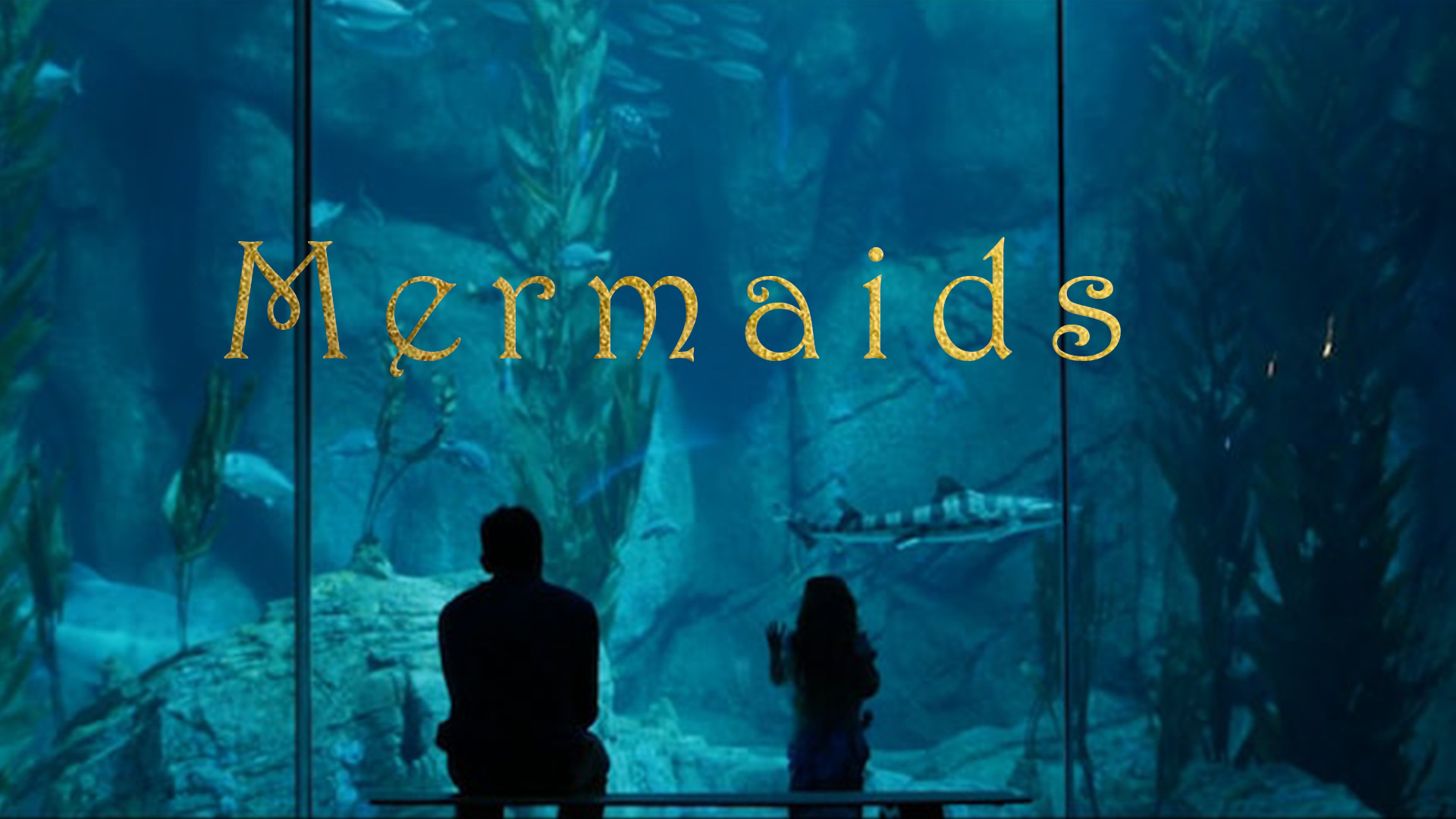 MERMAIDS Full Movie Online - Watch HD Movies on Airtel Xstream Play