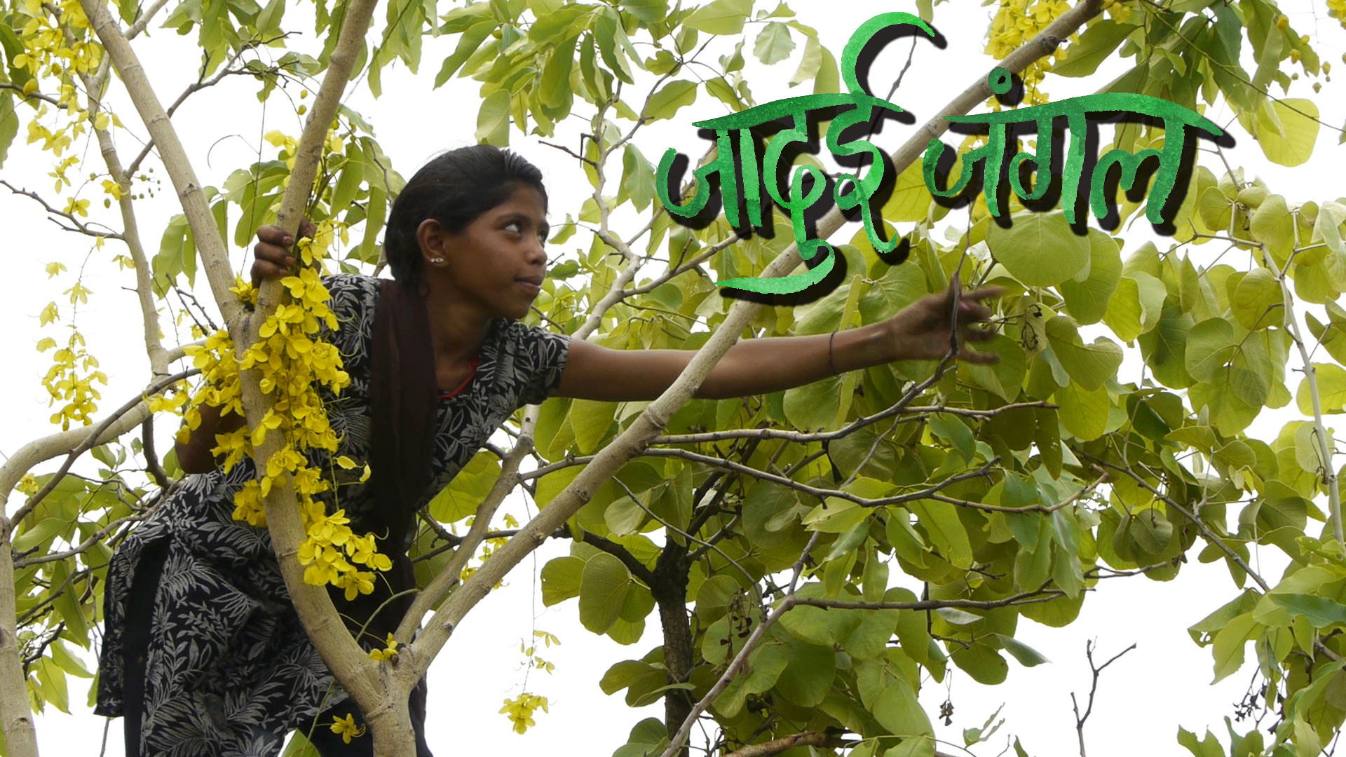 MAGICAL FOREST Full Movie Online - Watch HD Movies on Airtel Xstream Play